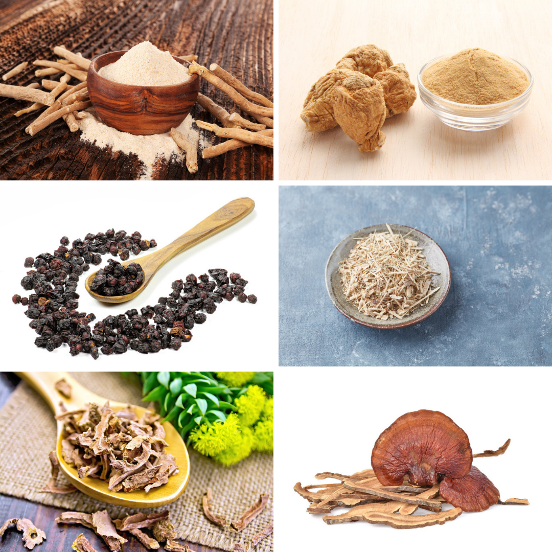 6 Adaptogens that Support Hormone Balance - The Betty Rocker
