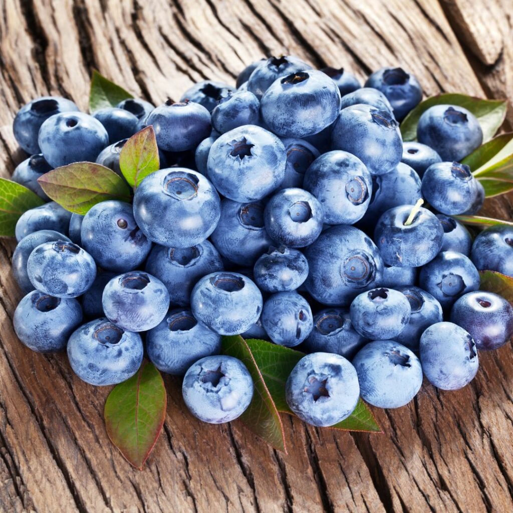 Blueberry Vanilla Collagen Smoothie - The Betty Rocker